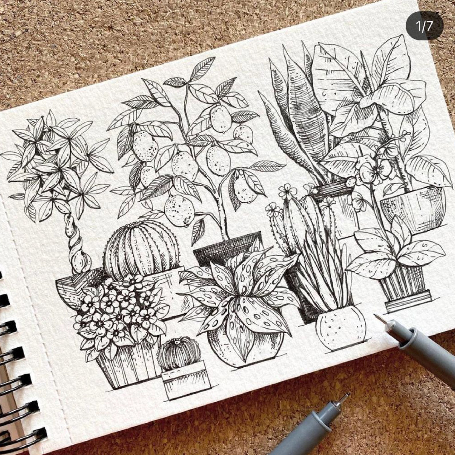 Potted Plants Pencil Drawing Pencil Plants Print House - Etsy