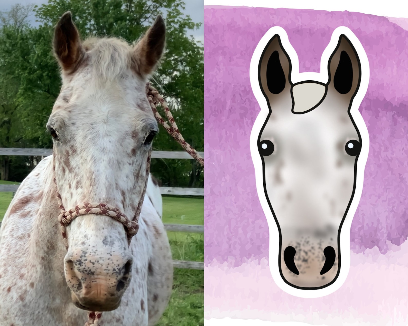 Custom Horse Sticker Horse Stickers Gift for Equestrian - Etsy