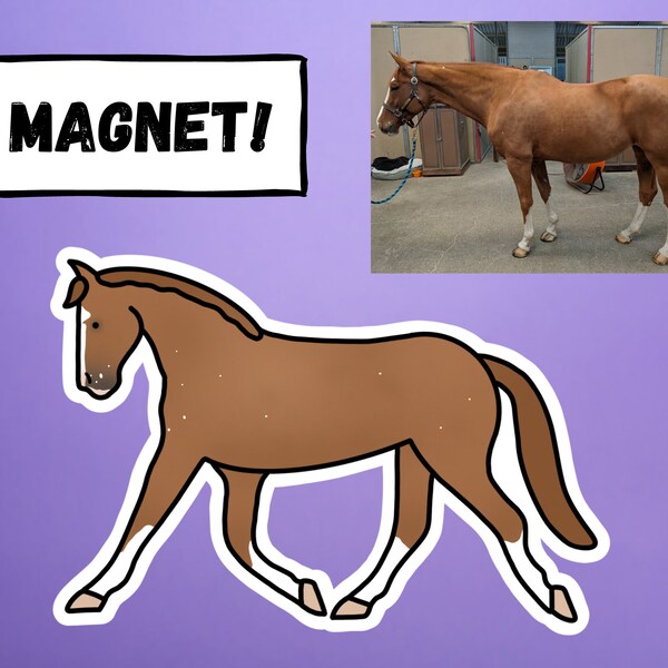 Custom Horse Car Magnet - Etsy