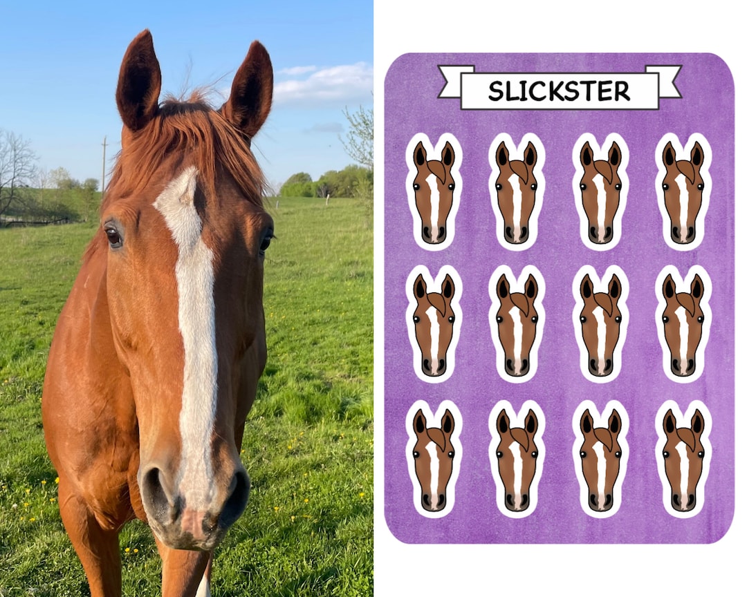 Custom Horse Sticker Sheet, Gift for Equestrian, Horse Gift, Gift for ...