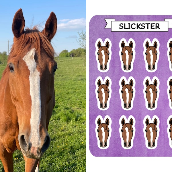 Custom Horse Sheet - Etsy
