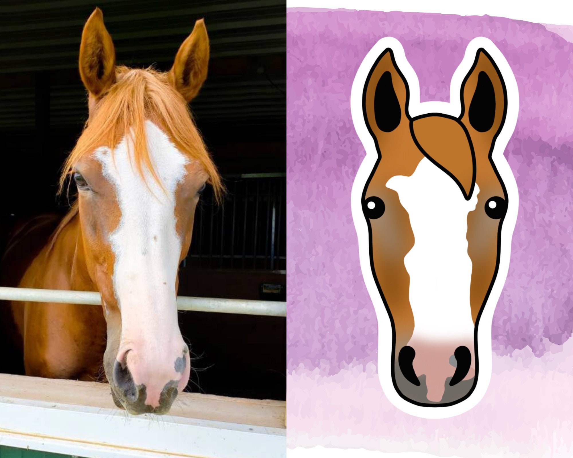 Custom Horse Sticker Horse Stickers Gift for Equestrian | Etsy