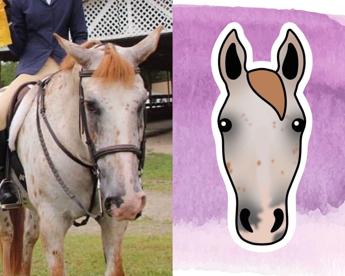 Custom Horse Sticker Horse Stickers Gift for Equestrian - Etsy
