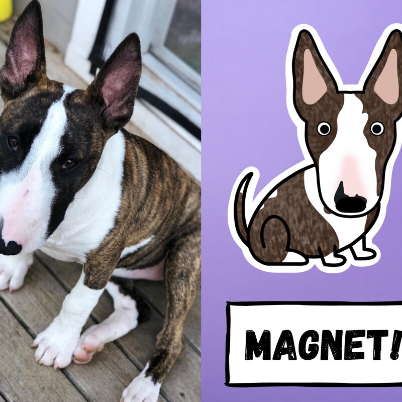 Dog Magnets - Etsy