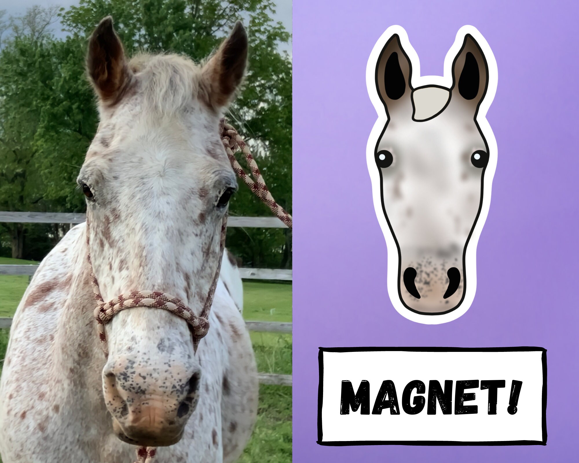 Custom Horse Head Magnet Horse Gift Horse Art Gift for | Etsy