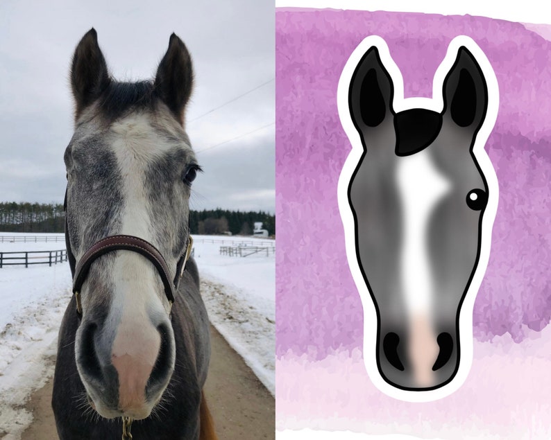 Custom Horse Sticker Horse Stickers Gift for Equestrian - Etsy