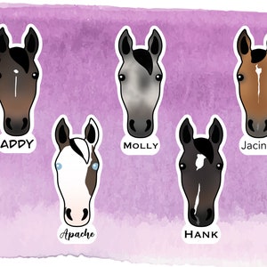 Custom Horse Sticker With Name, Horse Stickers, Gift for Equestrian ...