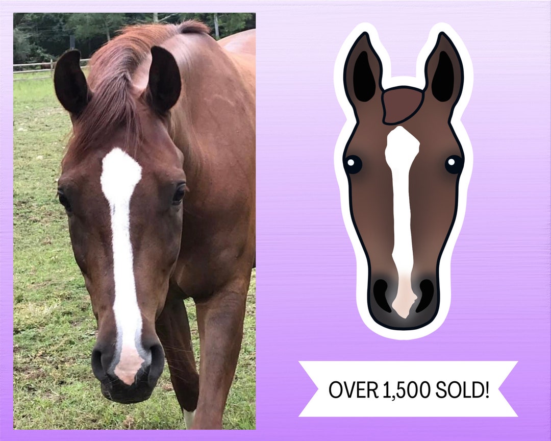 Custom Horse Sticker, Horse Stickers, Gift for Equestrian, Horse Gifts ...
