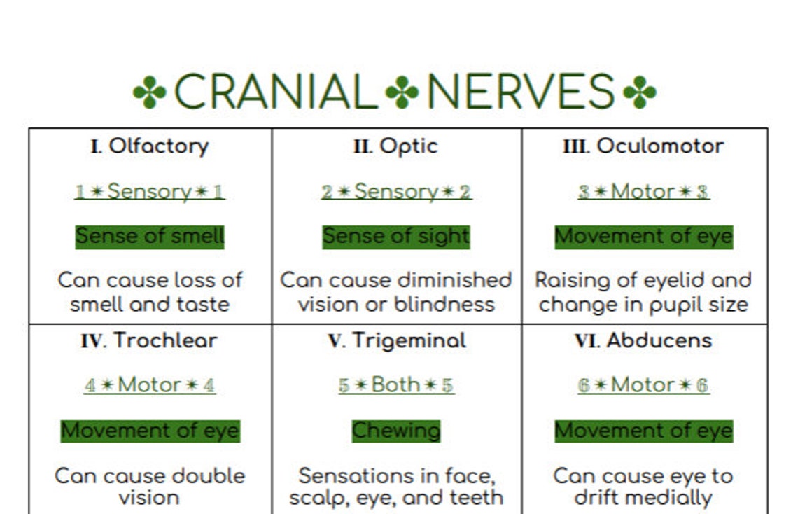 Twelve Cranial Nerves for Anatomy Physiology Nervous System Nursing ...