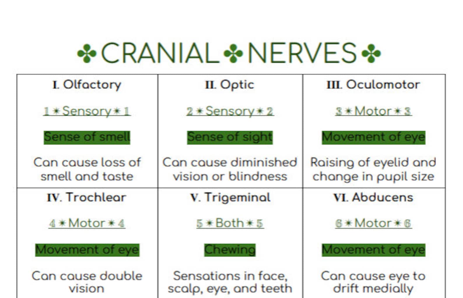 Twelve Cranial Nerves for Anatomy Physiology Nervous System Nursing ...