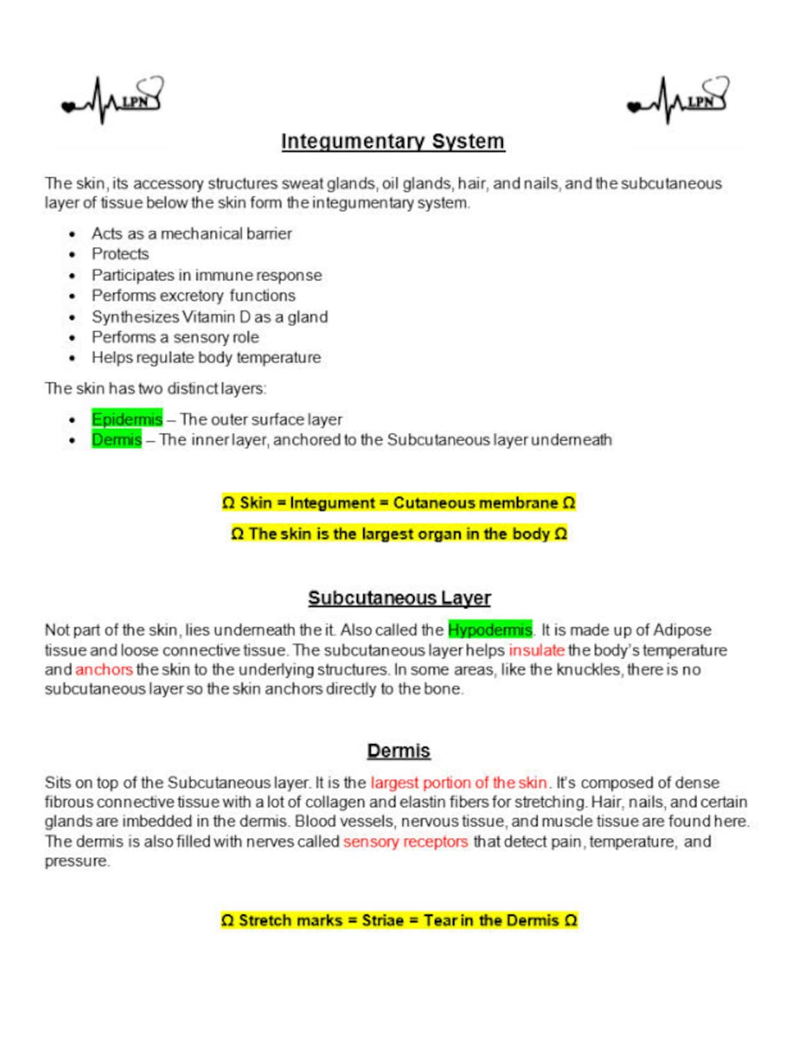 Integumentary System - Anatomy and Physiology - Notes Cheat Sheet ...