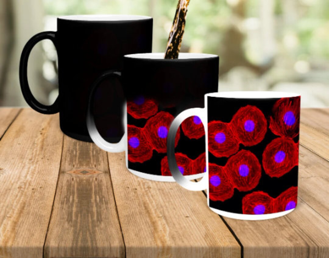 Biology Color Changing Magic Mug, Biologist Mug, Future Biologist ...