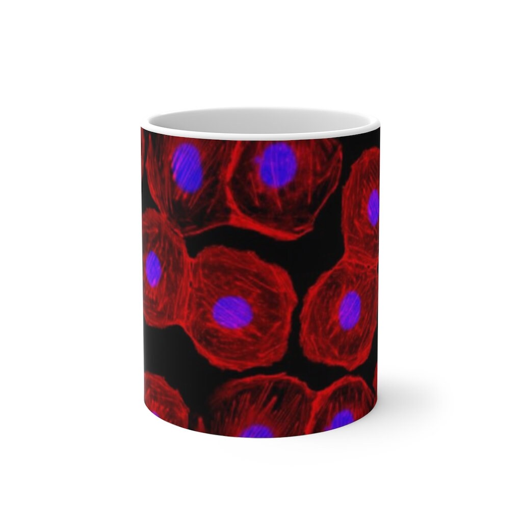 Biology Color Changing Magic Mug, Biologist Mug, Future Biologist ...