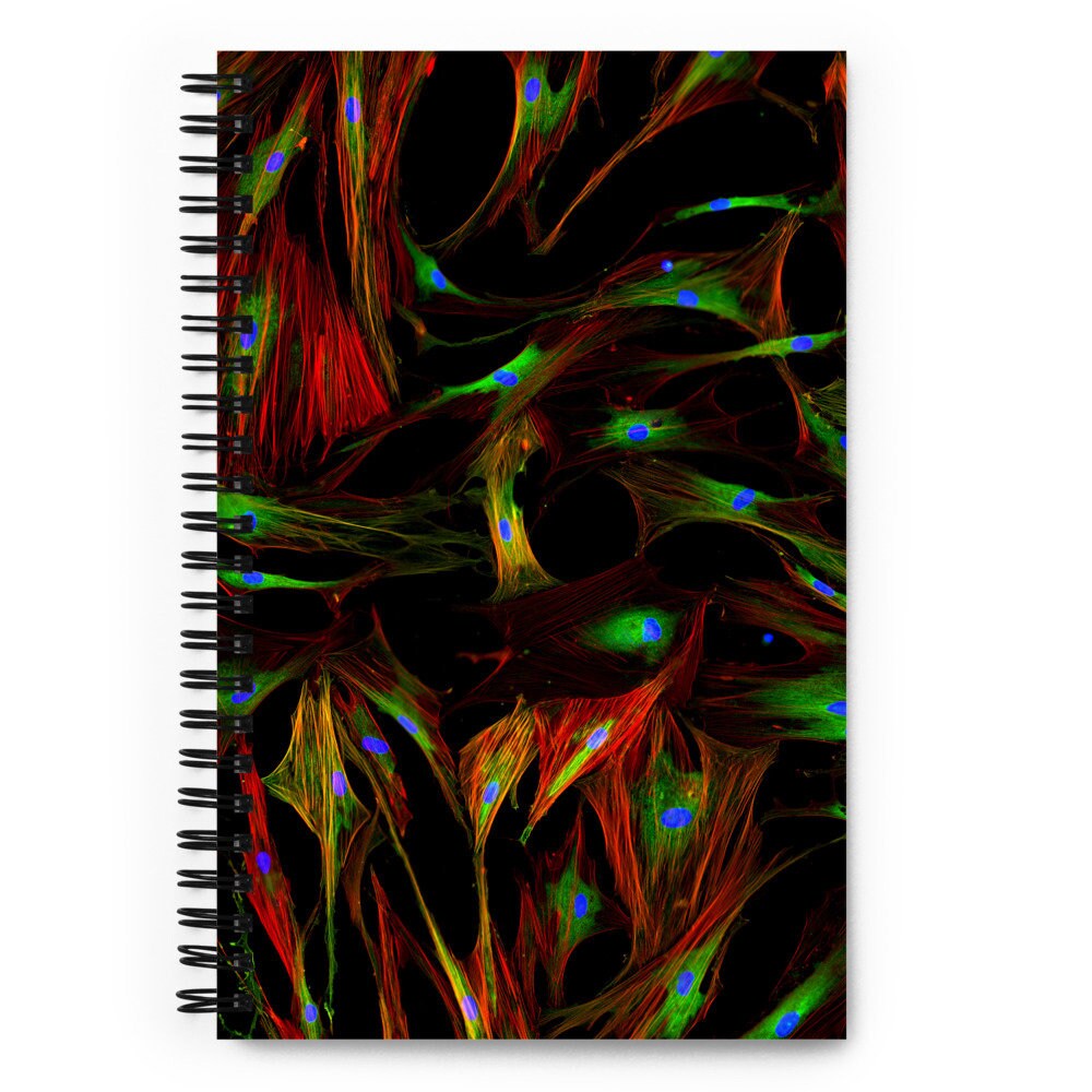 Spiral Notebook lab Notebook, Cell Line, Molecular Biology, Cell ...