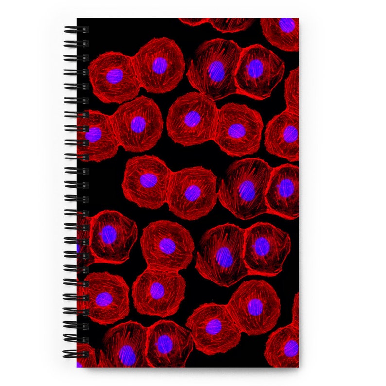 Spiral Notebook (lab Notebook, Stem Cells, Molecular Biology, Cell ...