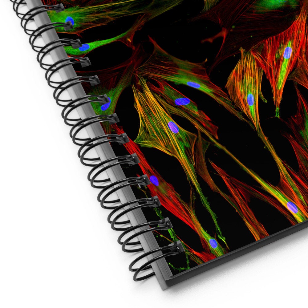 Spiral Notebook lab Notebook, Cell Line, Molecular Biology, Cell ...