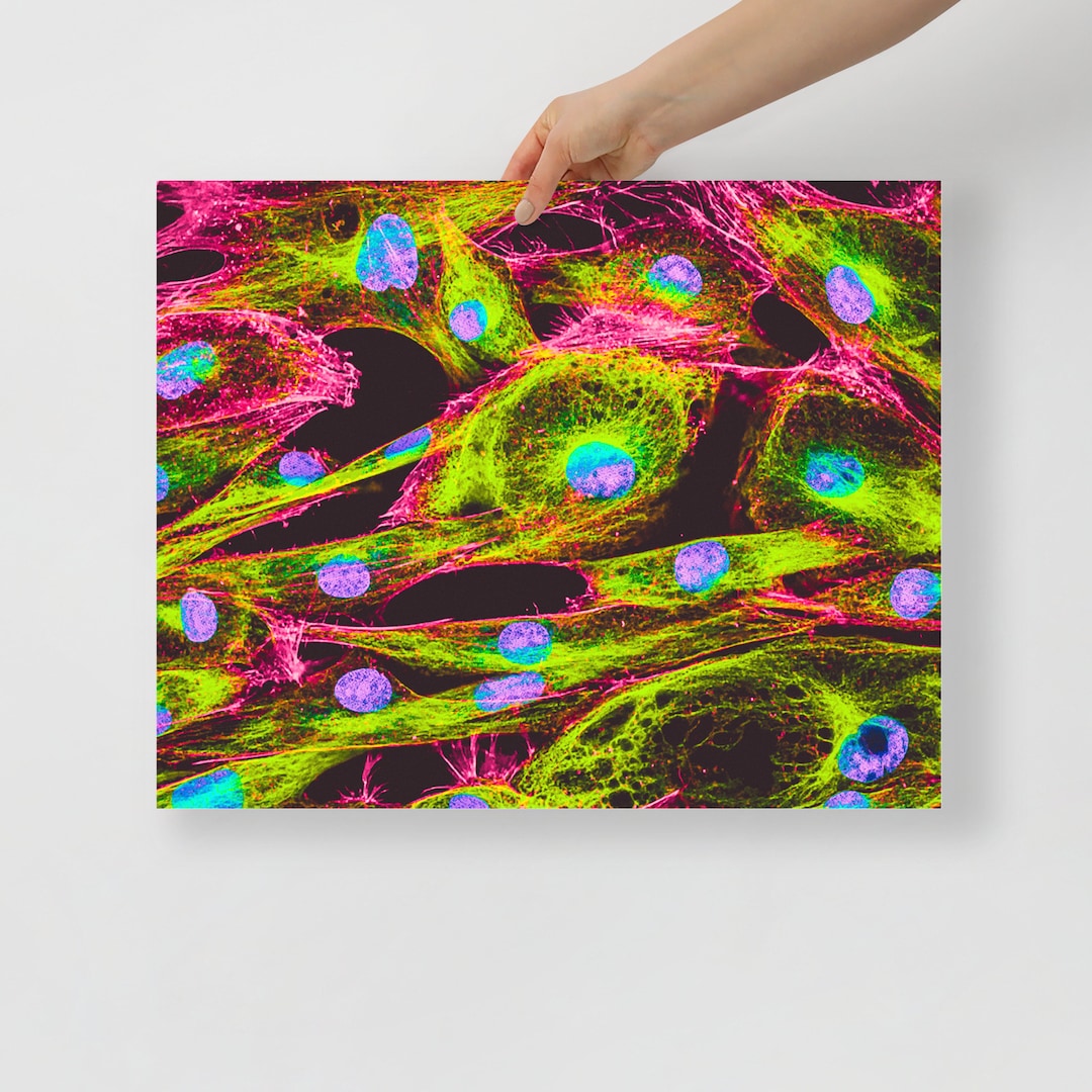 Molecular Cell Biology Art Print, Microscopy Poster, Biologist Gift ...