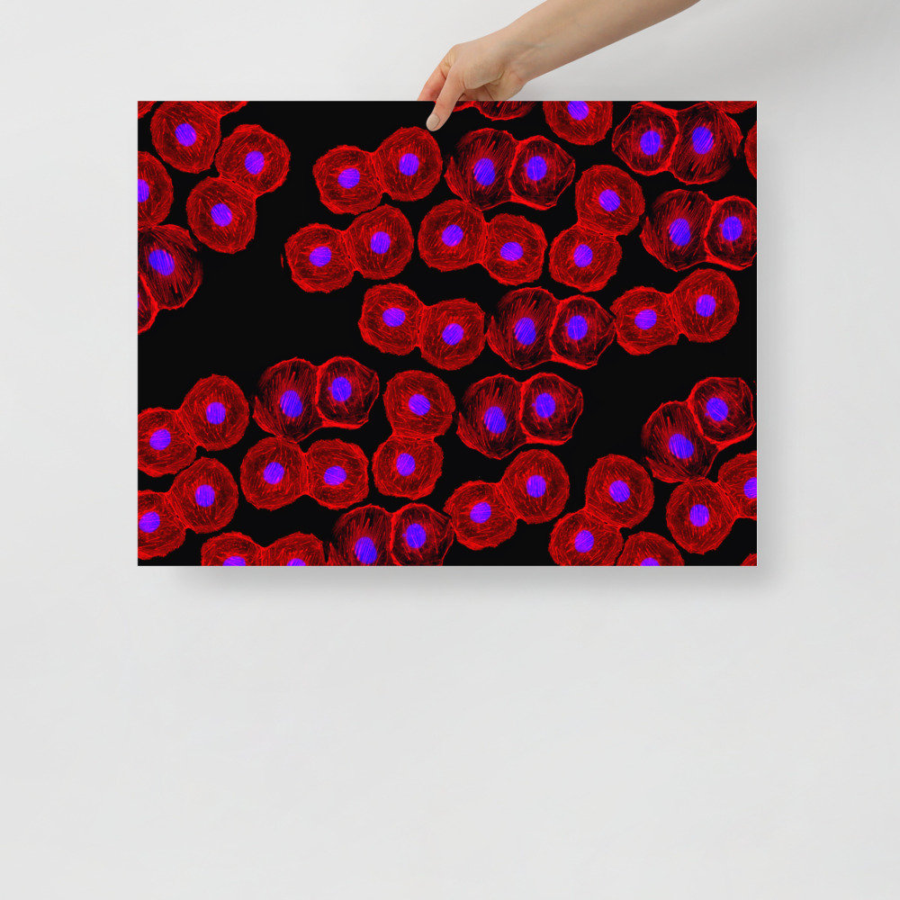 Stem Cell Biology Art Print, Microscopy Poster, Molecular Biologist ...