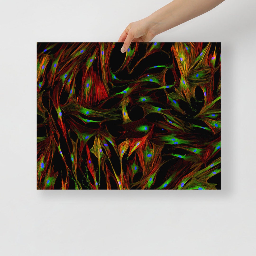 Cell Biology Art Print, Microscopy Poster, Molecular Biologist Gift ...