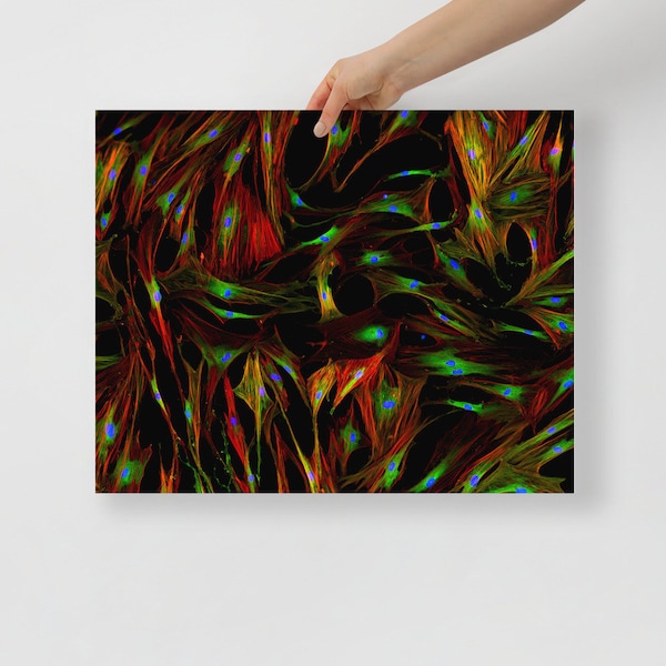 Human Cell Art - Etsy