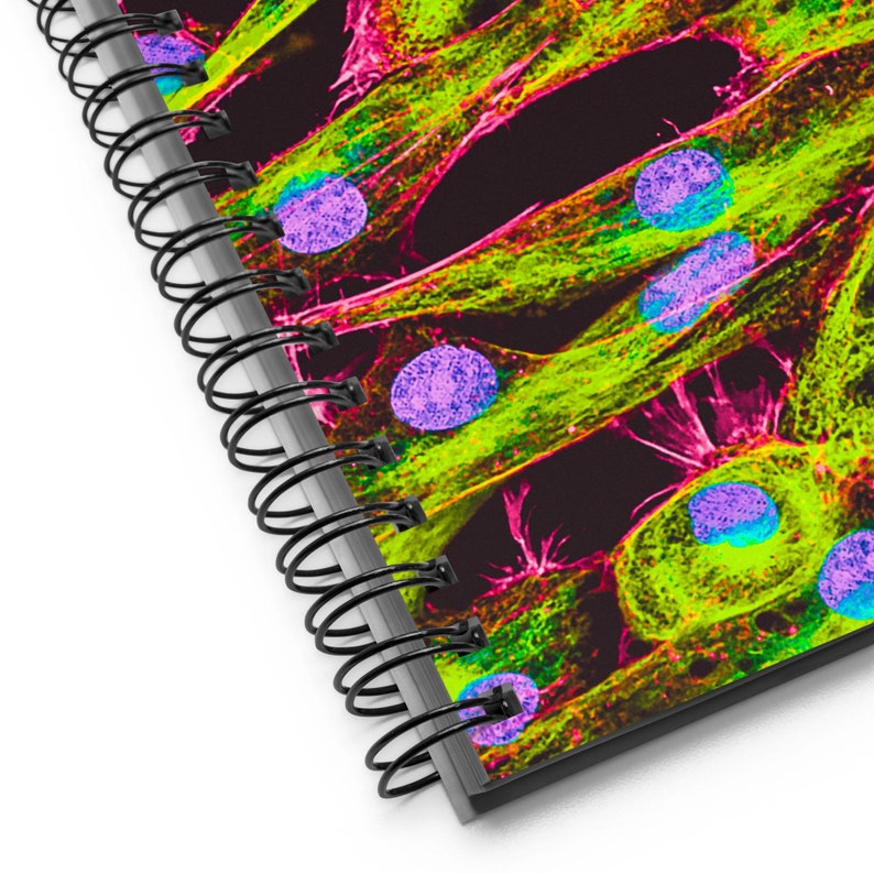 Spiral Notebook (lab Notebook, Biology Notebook, Future Biologist ...
