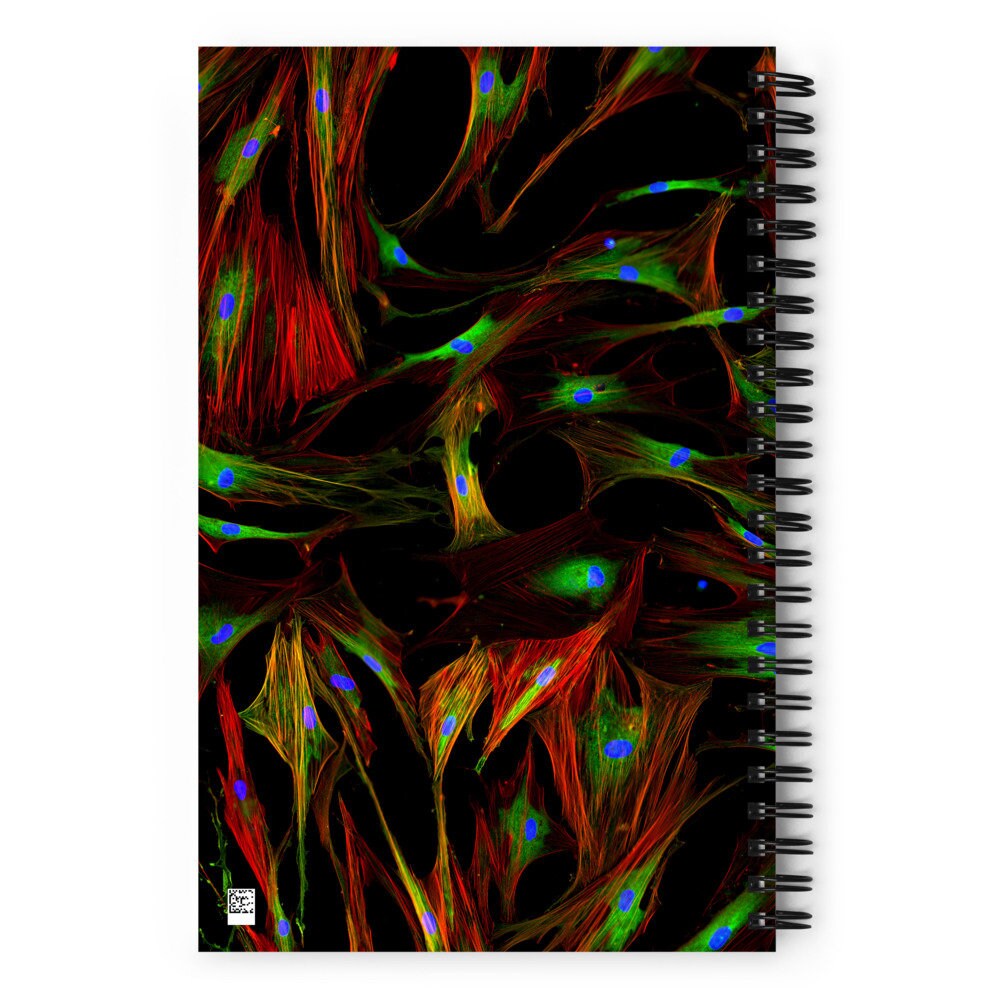 Spiral Notebook (lab Notebook, Cell Line, Molecular Biology, Cell ...