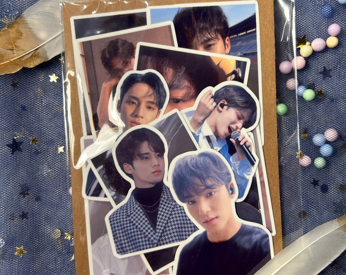 SVT Sticker Set / Cutie Snacks Sticker Collection / Fanmade Kit / Kpop ...