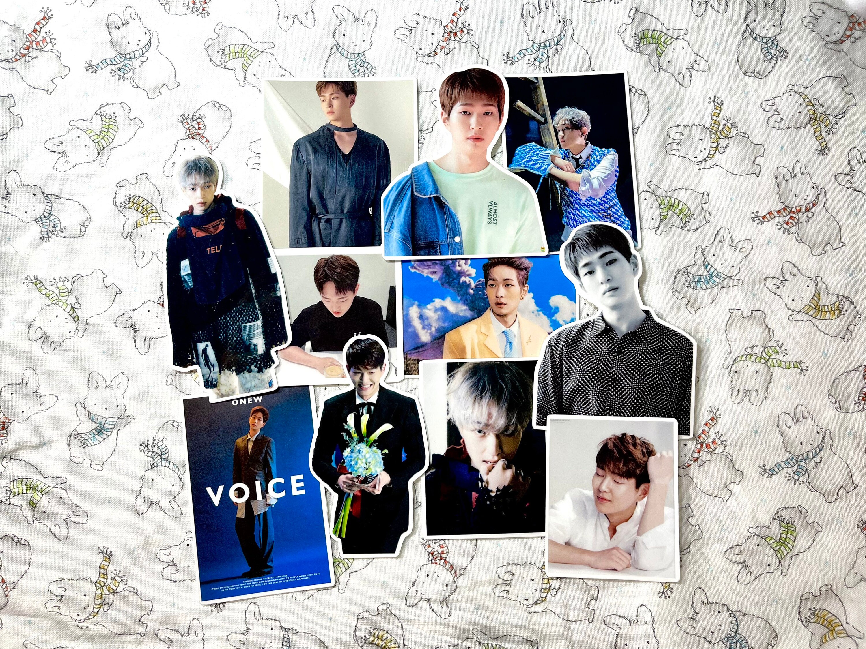 SHINEE All Members Sticker Set / Shinee / Waterproof Sticker / - Etsy UK