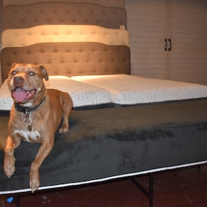 8" Dog Bed Mattress Extender Kit - Dog Bed Extension of Human Mattress ...