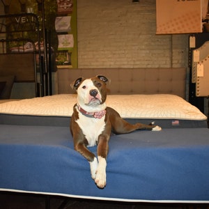 12 Dog Bed Mattress Extender Kit Dog Bed Extension of - Etsy