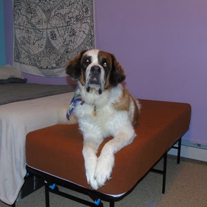 12 Dog Bed Mattress Extender Kit Dog Bed Extension of - Etsy