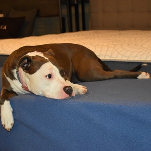 8 Dog Bed Mattress Extender Kit Dog Bed Extension of - Etsy