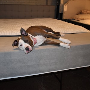 12" Dog Bed Mattress Extender Kit - Dog Bed Extension of Human Mattress ...