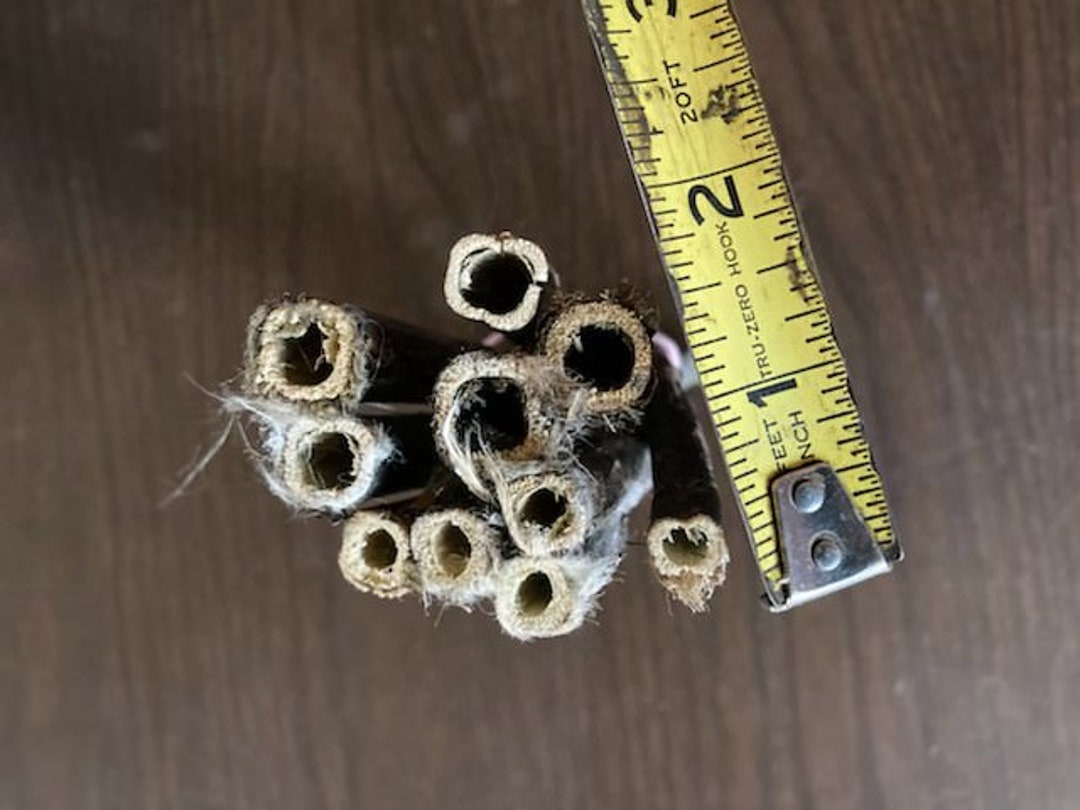 Native Bee Nesting Tubes, Bee Nests, Bee House, Mason and Leafcutter ...