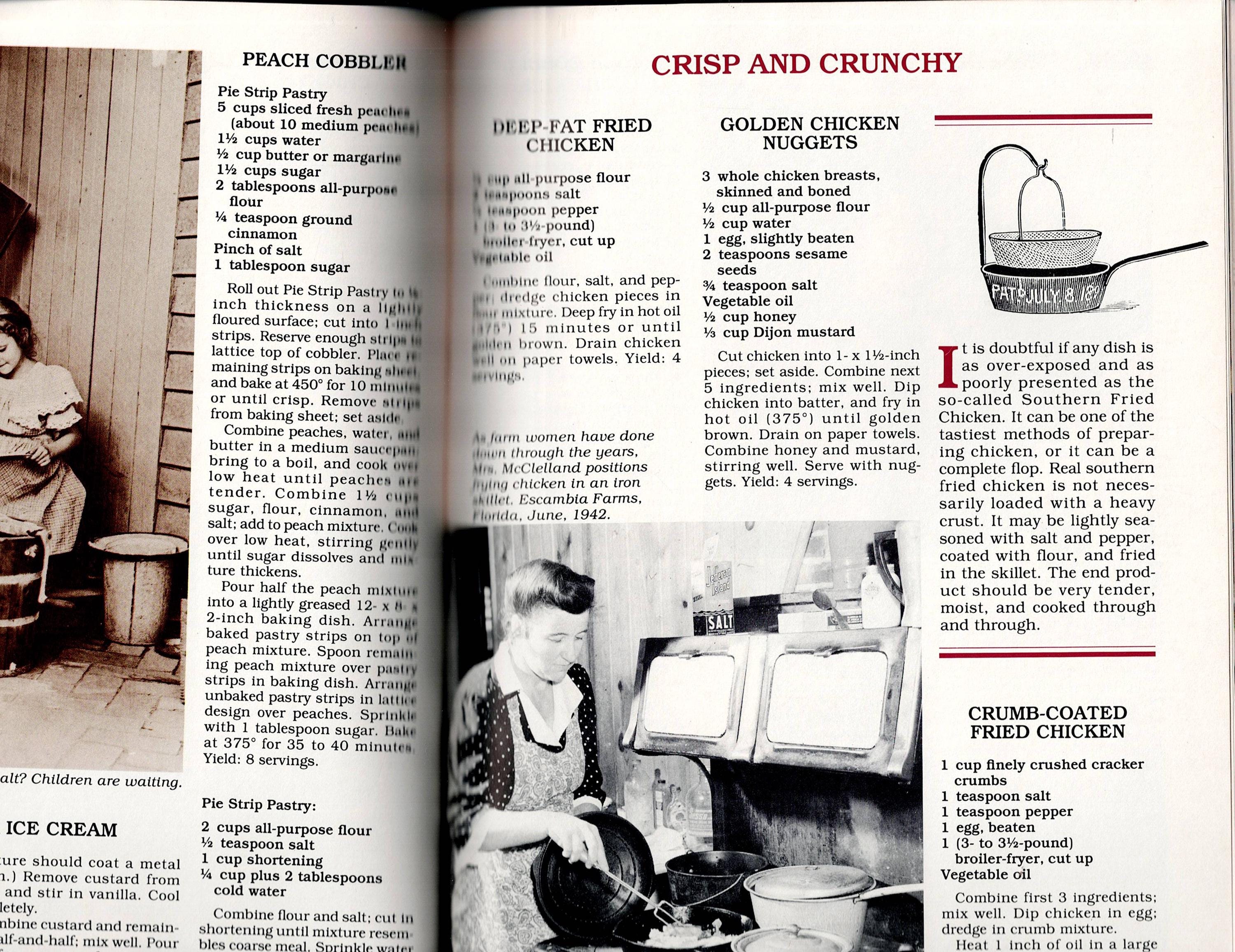 1983 the Southern Heritage Plain and Fancy Poultry Cookbook - Etsy