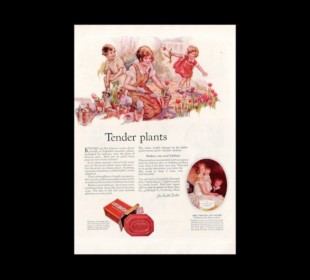 Original 1920s Lifebuoy Soap Gardening Magazine Ad - Etsy