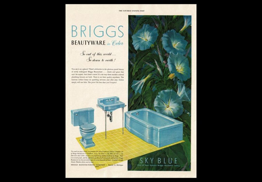 1952 Briggs Bathroom Plumbing Magazine Ad, Sky Blue Morning Glories ...