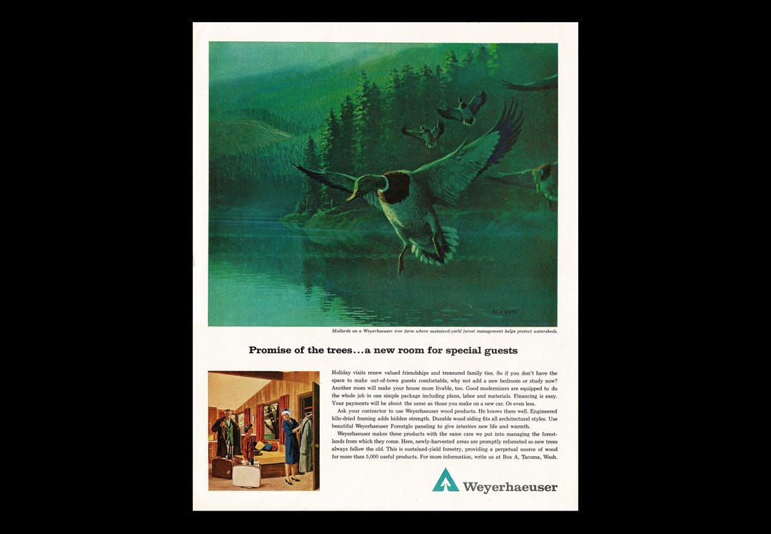 1963 Weyerhaeuser Company "mallard Ducks" Magazine Ad - Etsy