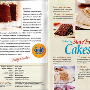 2001 Gold Medal Winning State Fair Cakes Cookbook Booklet/pamphlet - Etsy