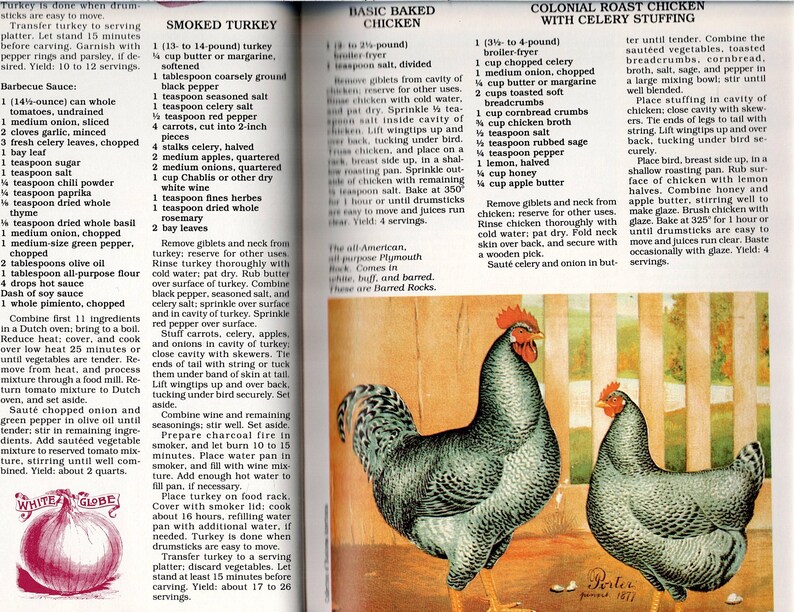 1983 the Southern Heritage Plain and Fancy Poultry Cookbook - Etsy