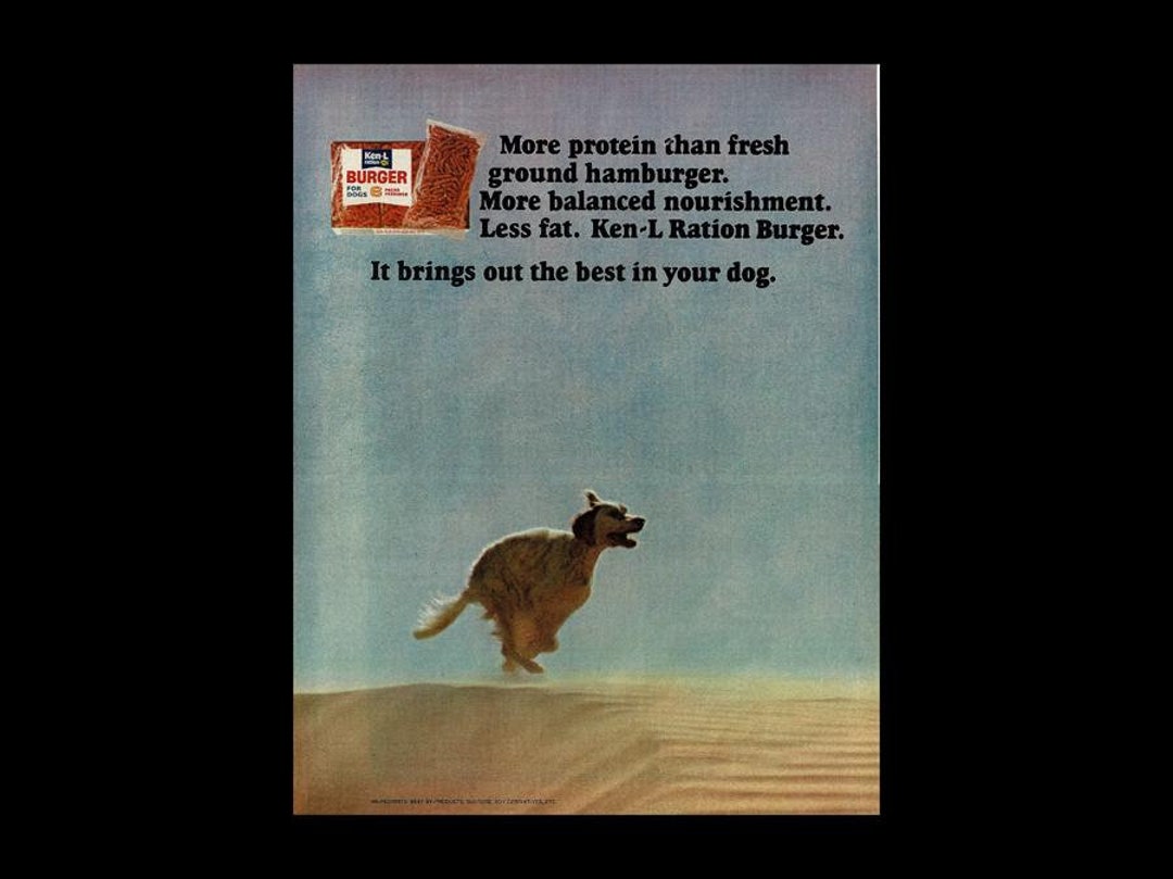 1971 Ken-l Ration Burger Dog Food "golden Retriever" Magazine Ad - Etsy
