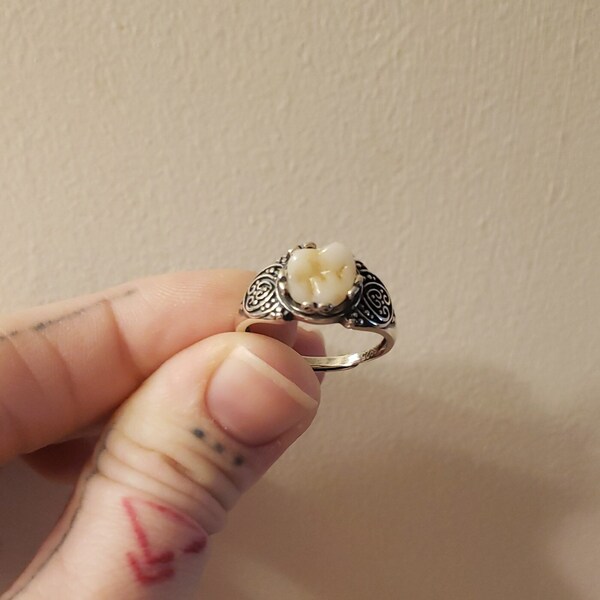 Tooth Ring - Etsy