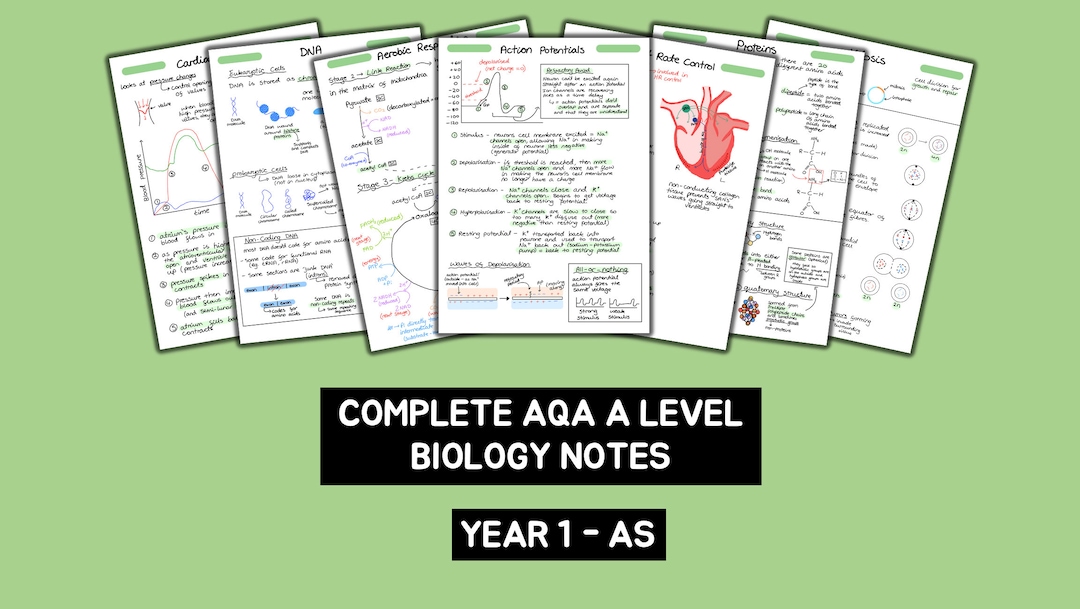 AQA A Level Biology Complete Notes - Year 1 (AS) - Etsy
