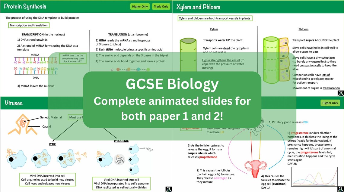 Edexcel GCSE Biology Complete Revision Powerpoint - Etsy