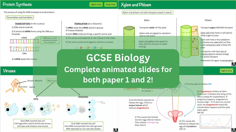 Edexcel GCSE Biology Complete Revision Powerpoint - Etsy UK