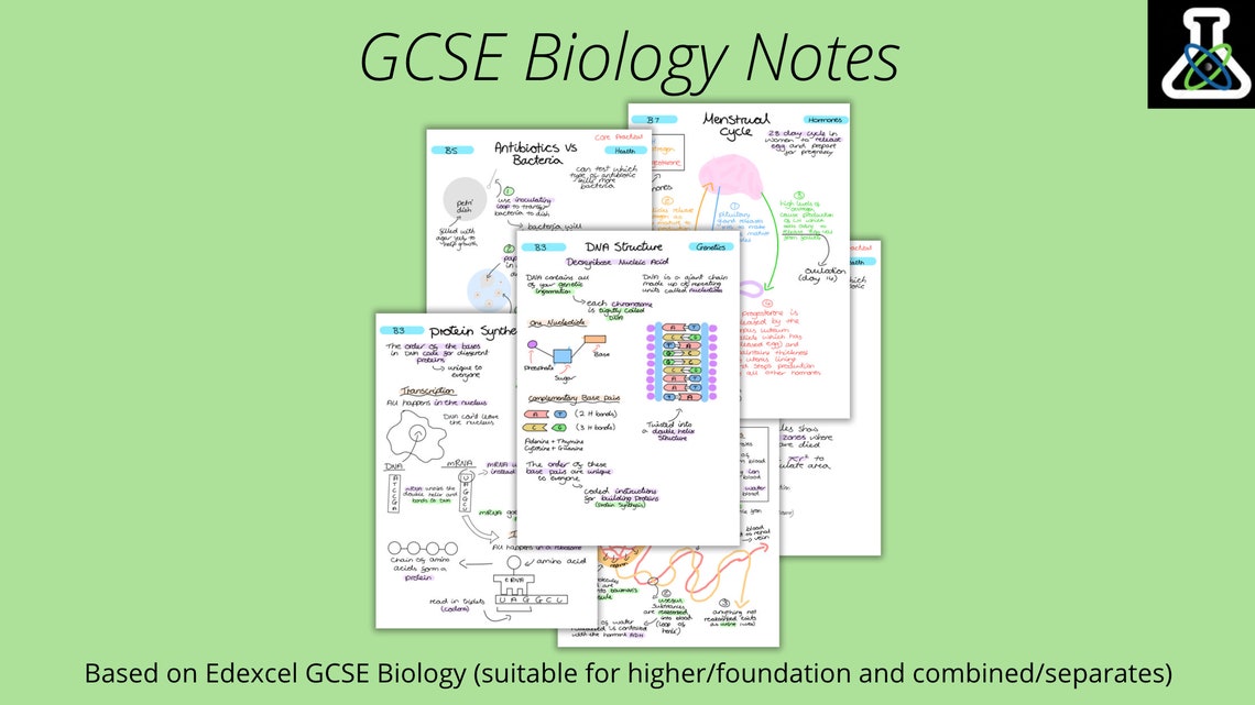 GCSE Biology Paper 1 and 2 Notes Bundle - Etsy