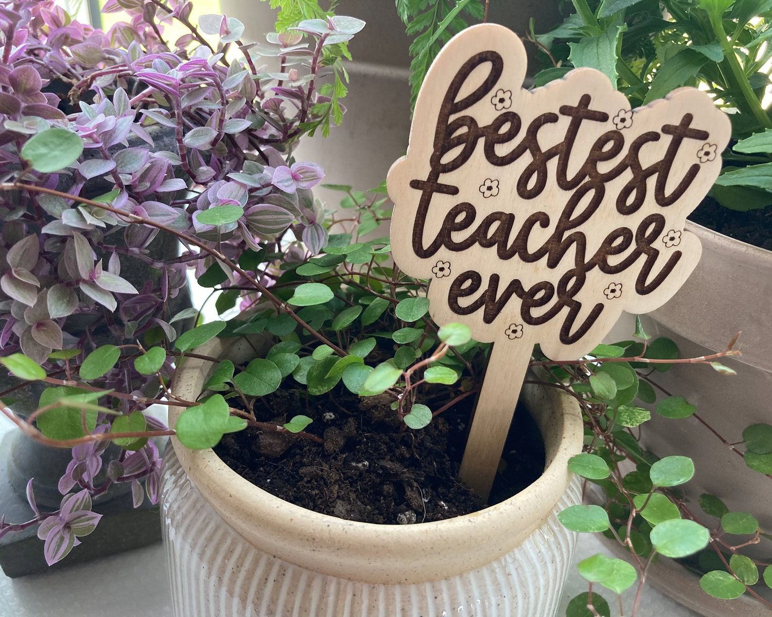 Personalized Teacher Bouquet Stick Best Teacher Ever Plant Stake ...