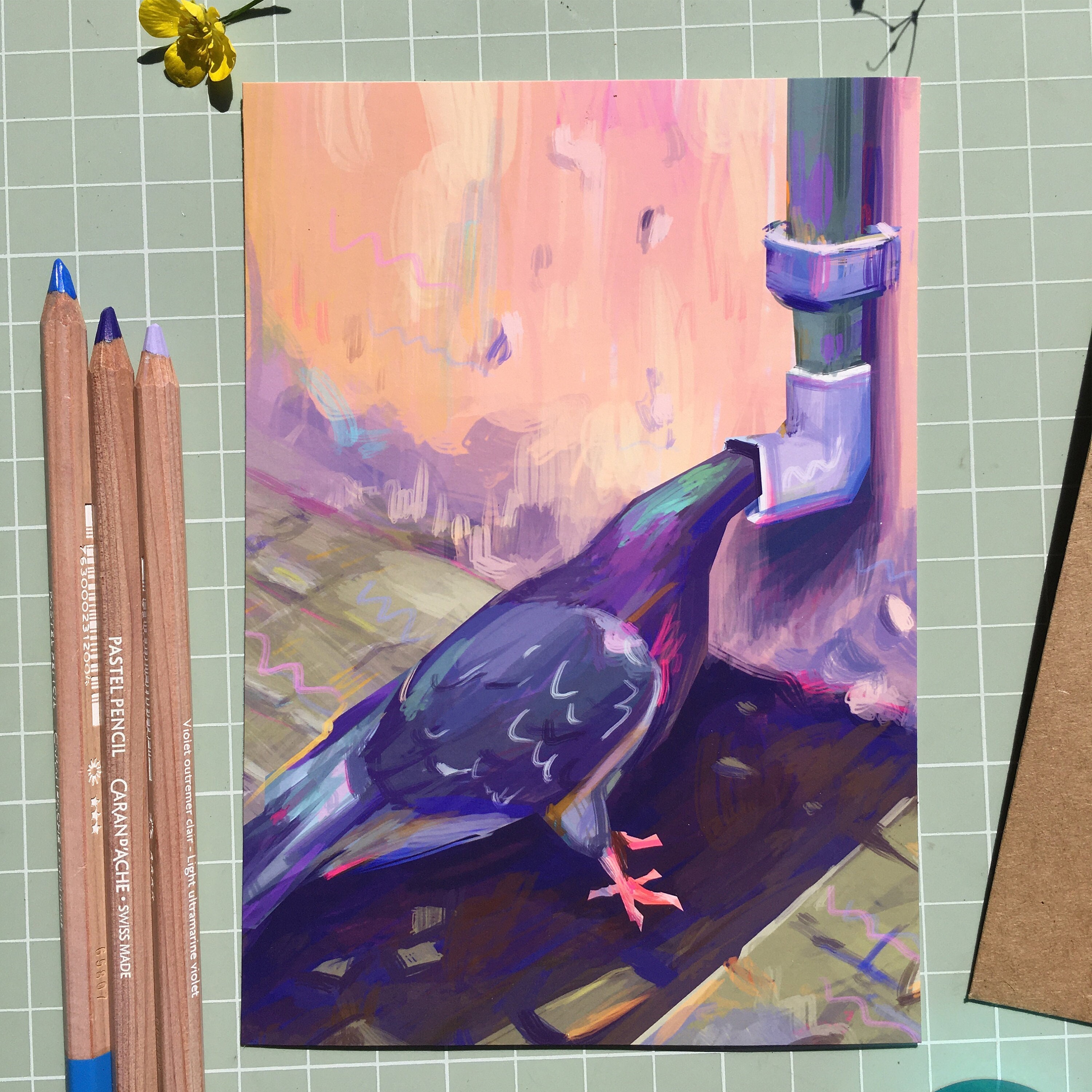 Pigeon Art Print - Etsy