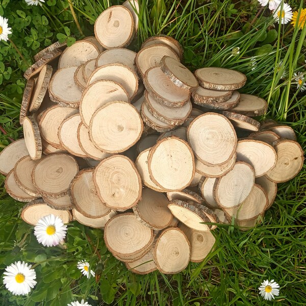 Oak Wood Slice - Etsy