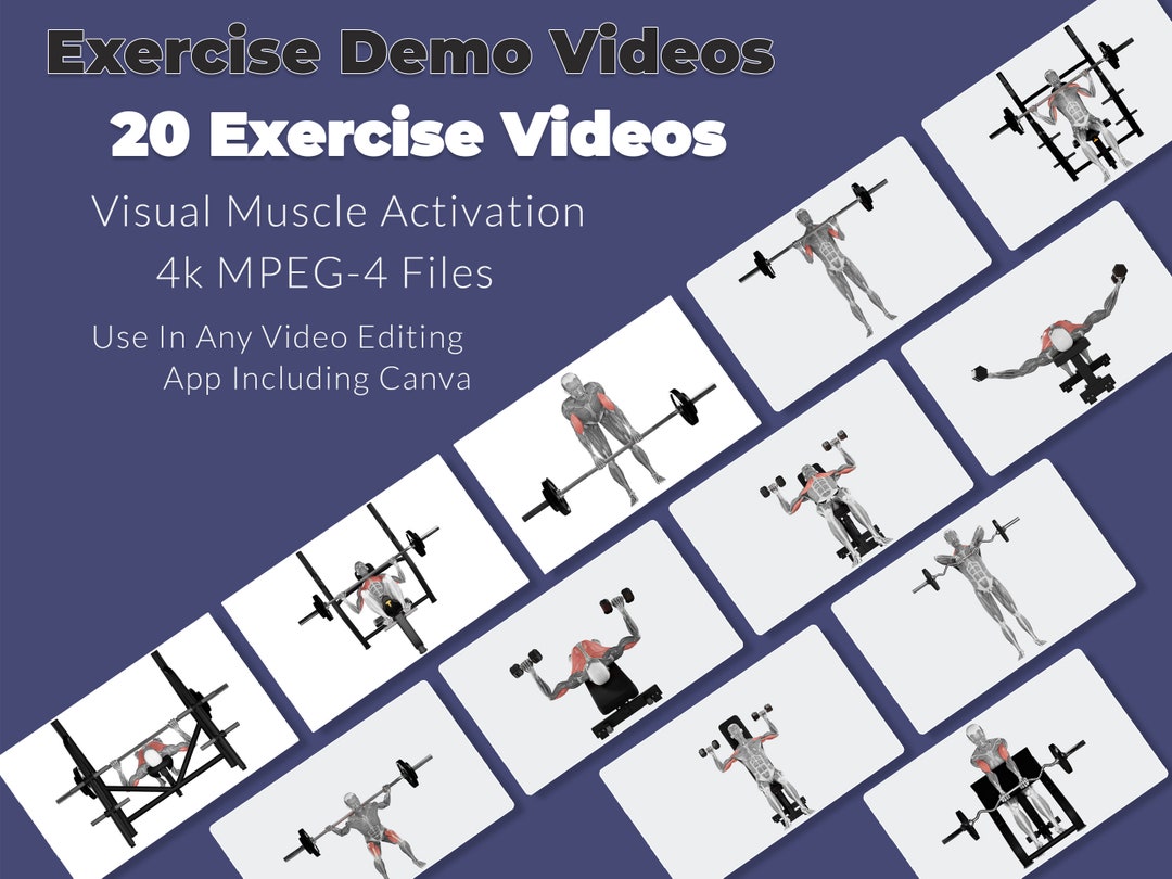 3d Anatomy Exercise Demo Videos - MPEG-4 Version - Etsy